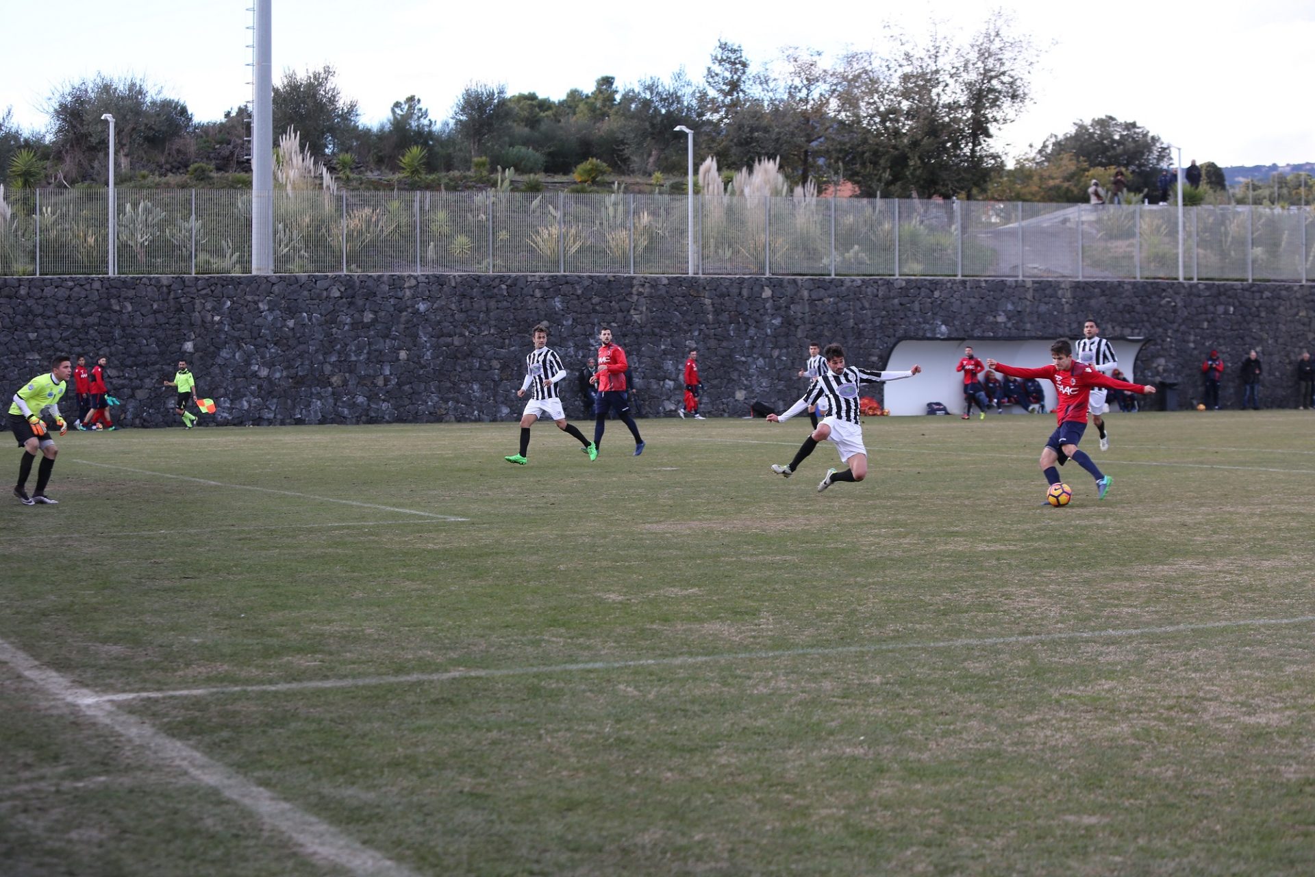 Bologna 6-0 Sicula Leonzio: The Gallery – BolognaFC